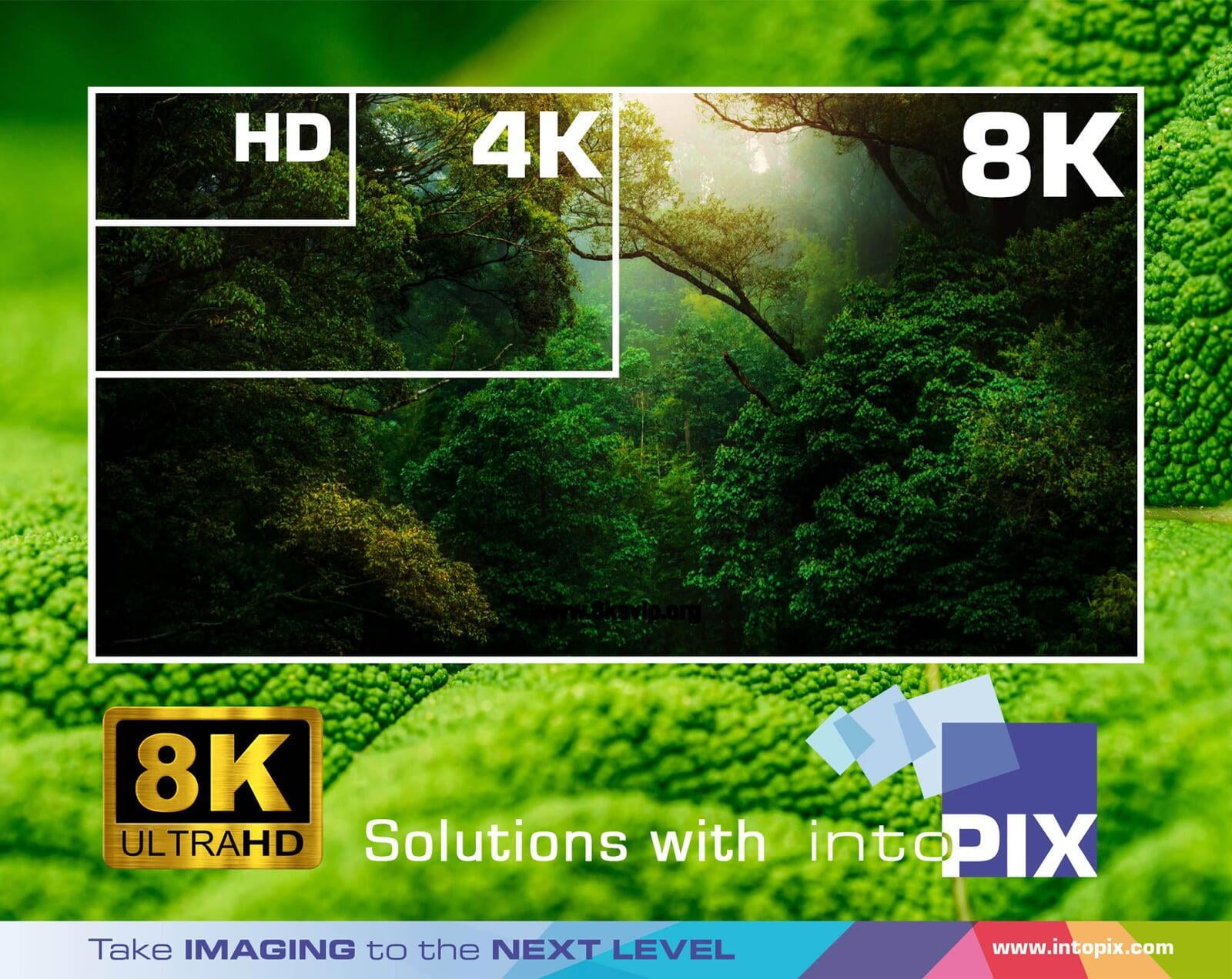 8K Solutions | intoPIX
